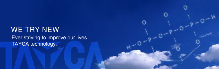 HOME | TAYCA CORPORATION